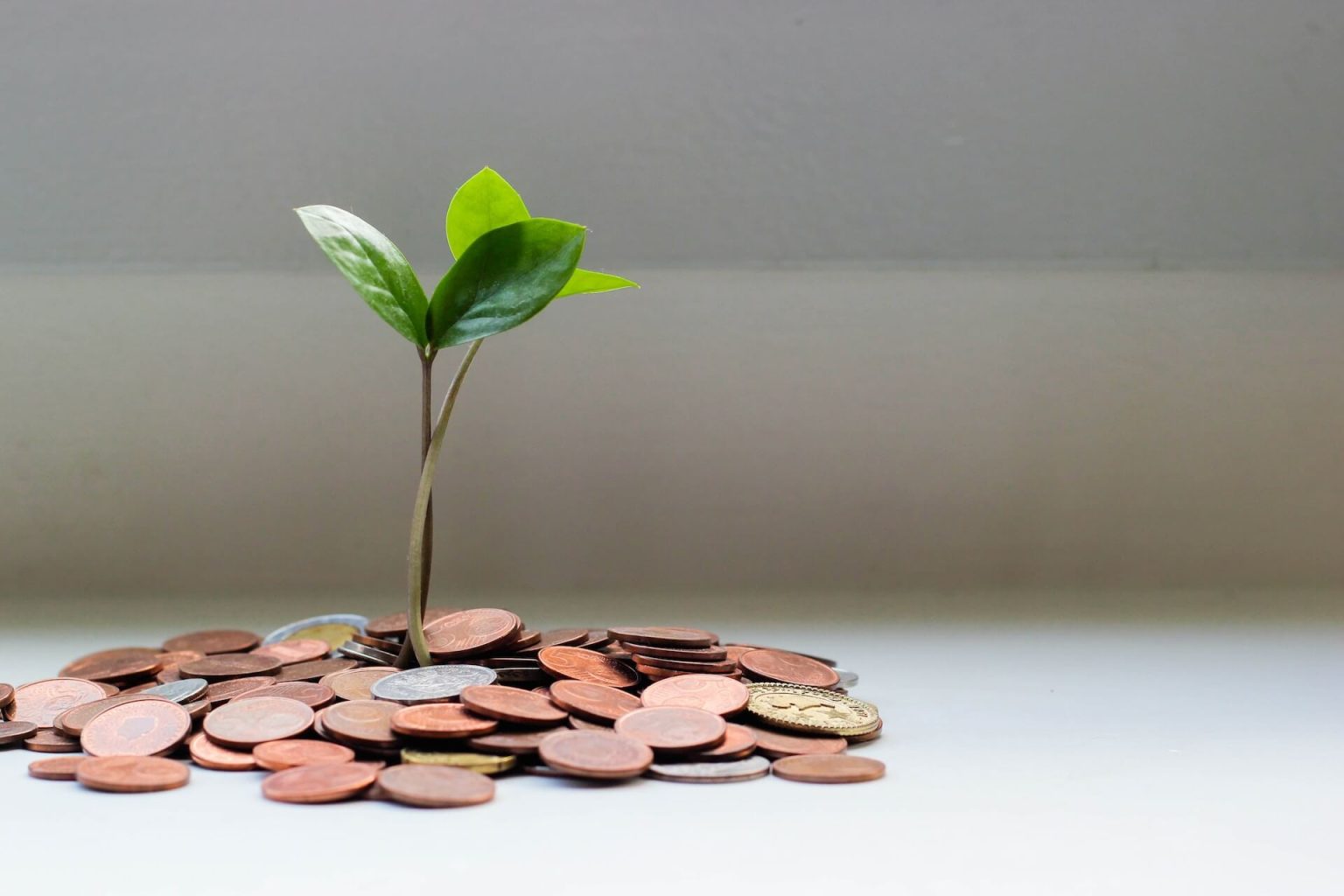 16 To 19 Bursary Fund | Comprehensive Guide For Students - Think Student